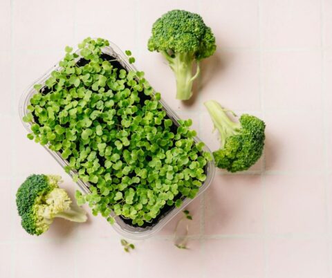 How to Make Sauerkraut Salad: Simple and Flavorful Recipe